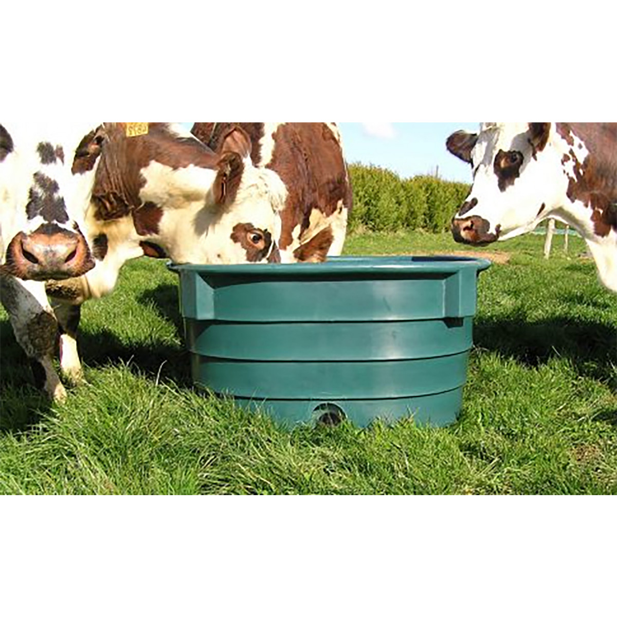 Beiser Environnement - Bac à eau / herbage en plastique PEHD 1000 L